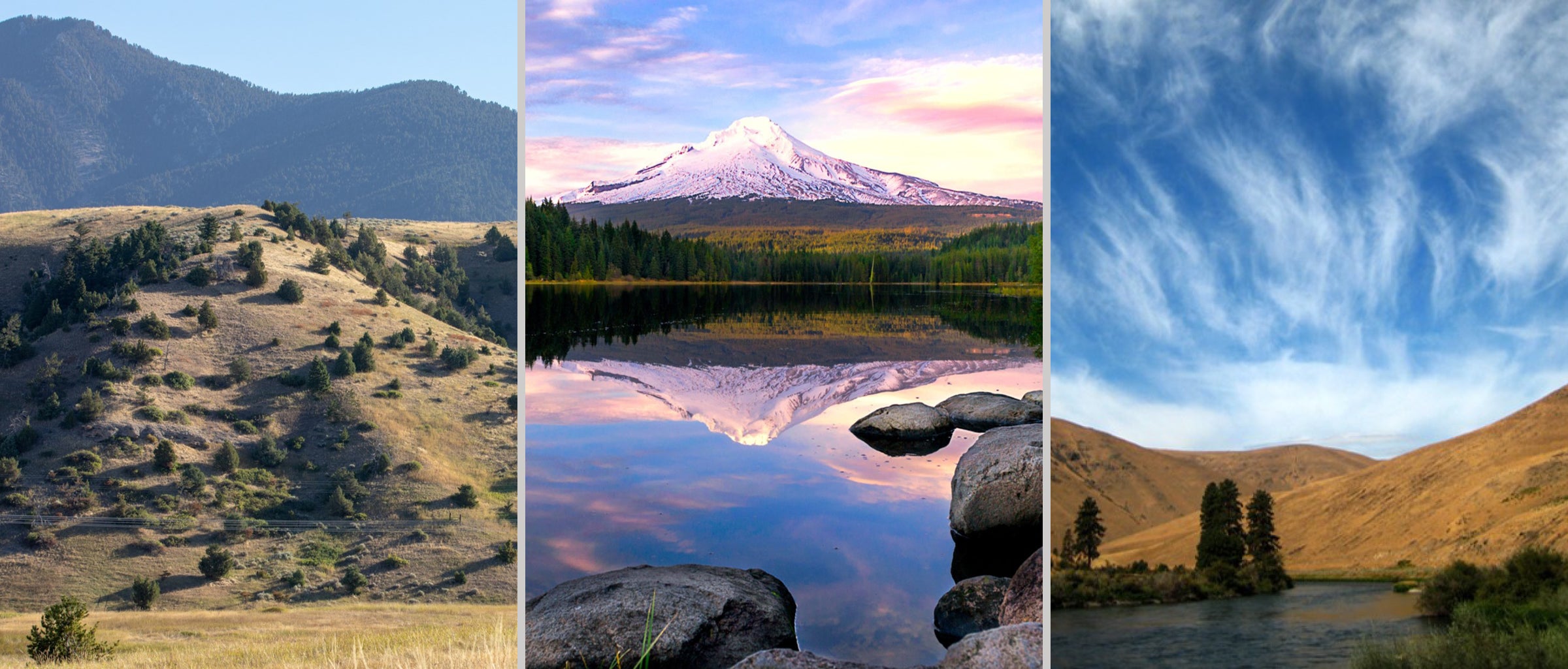 2020 Annual Report - Northwest Energy Efficiency Alliance (NEEA)
