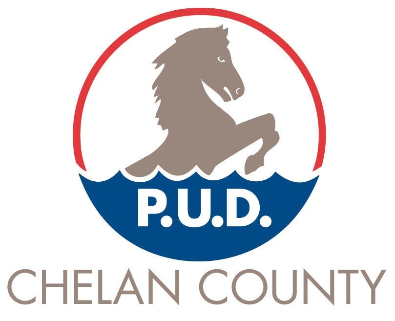 Advancing Energy Efficiency in the Northwest - Northwest Energy ...